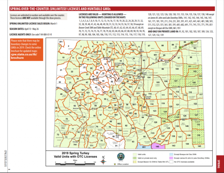 Wild Turkey Chase - APT Outdoors